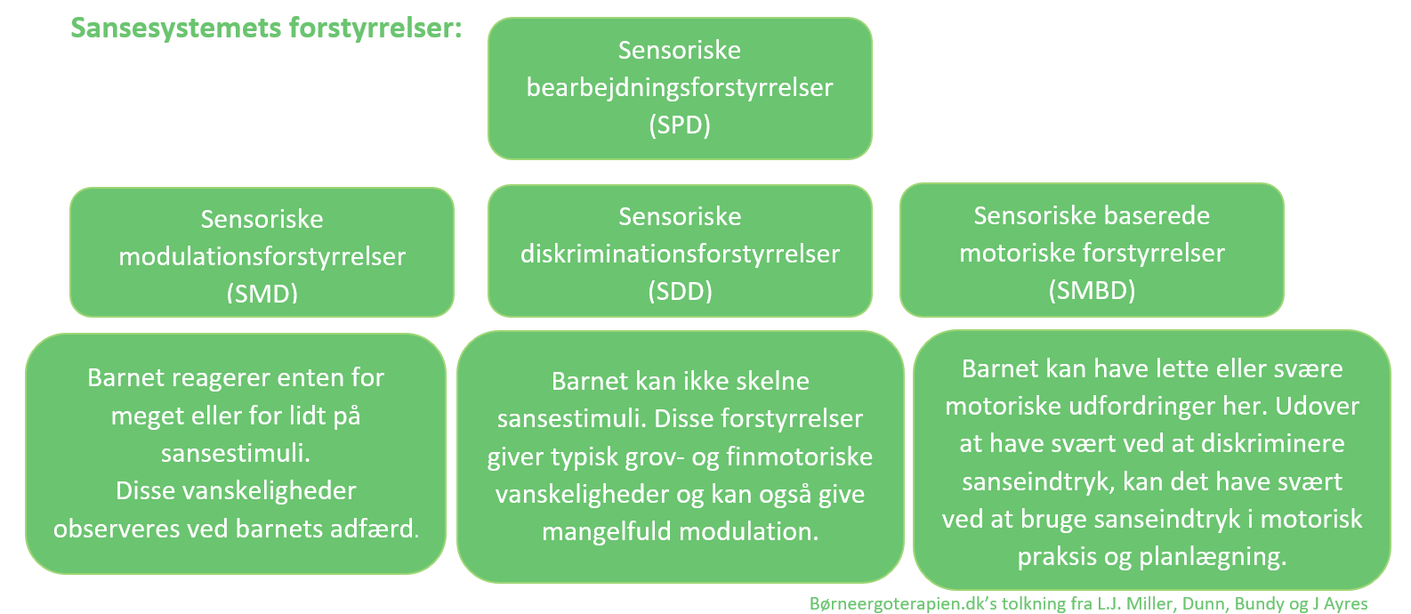 Forstyrrelser i sansesystemet – BørneErgoterapien.dk ApS